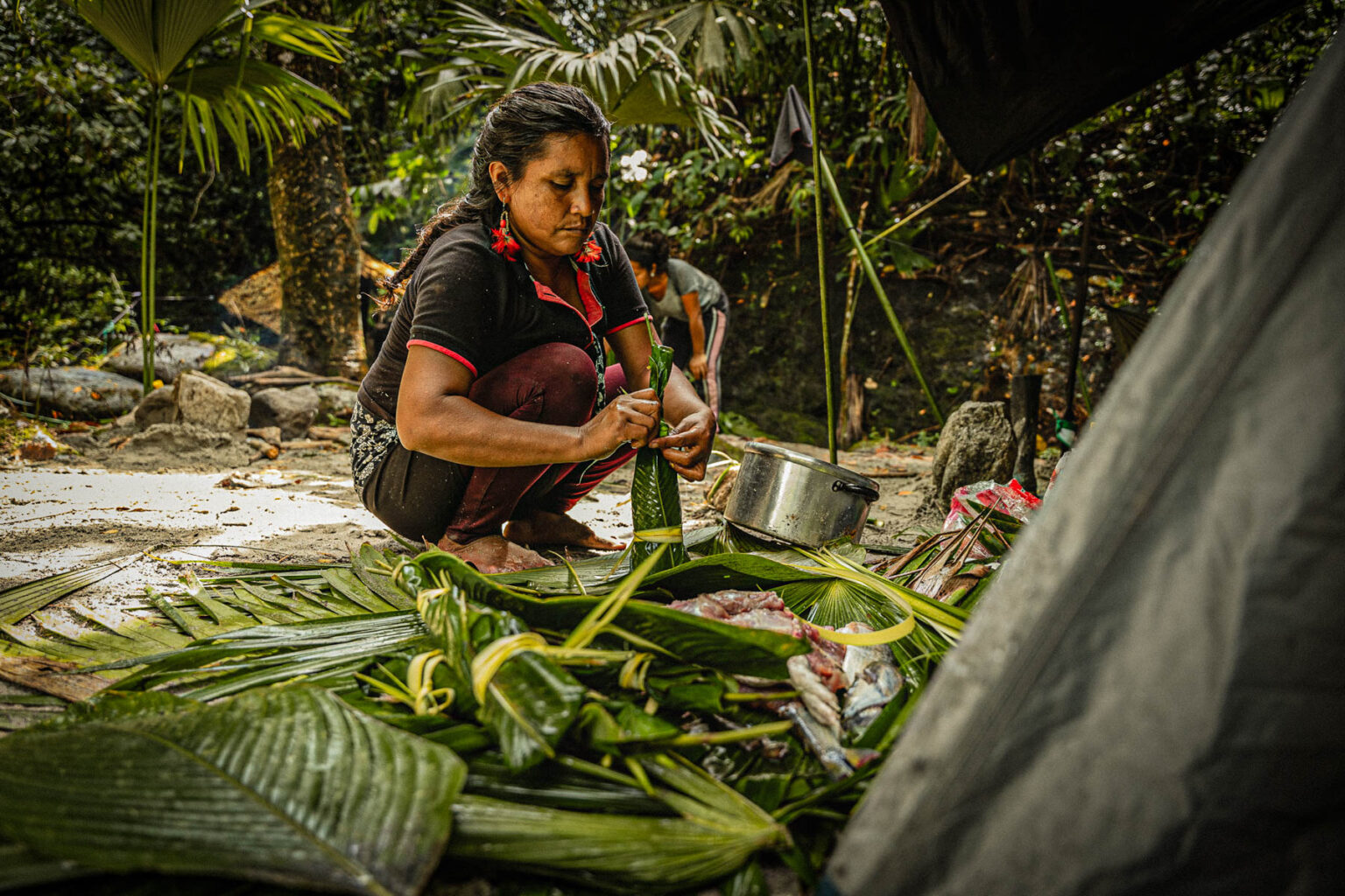 Un tapiz de biodiversidad: Protegiendo las Relaciones de la Amazonía ...