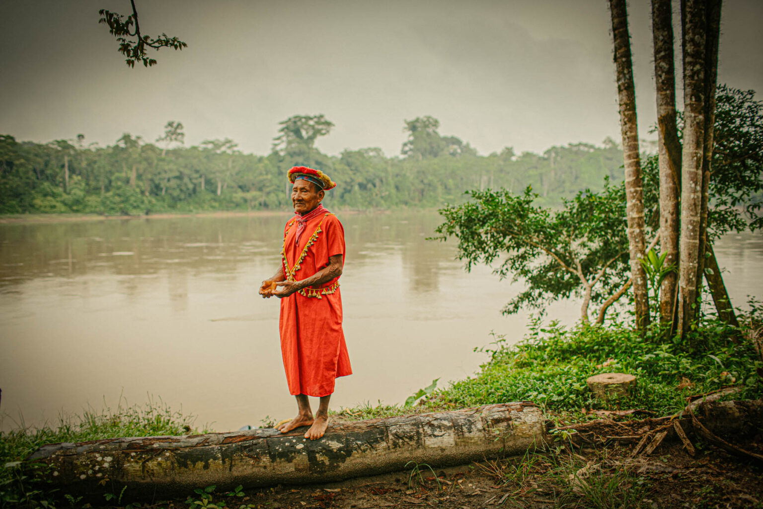 Un tapiz de biodiversidad: Protegiendo las Relaciones de la Amazonía ...